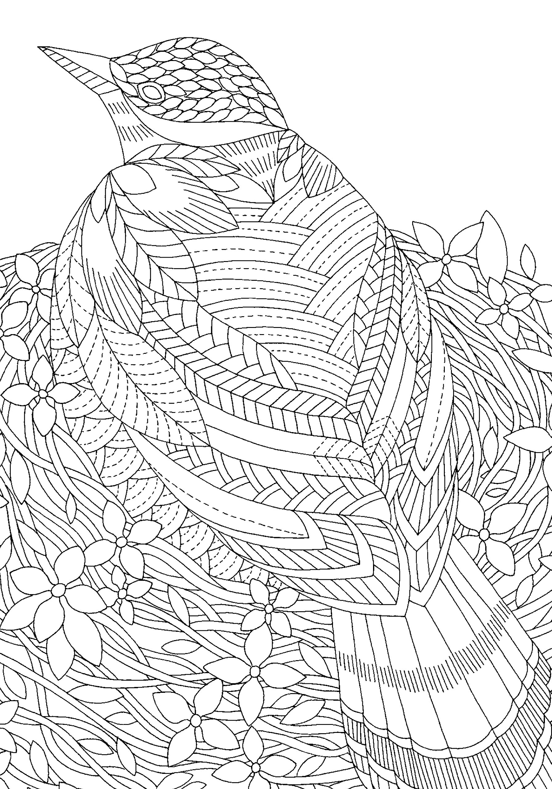 Exotic bird mandala coloring page