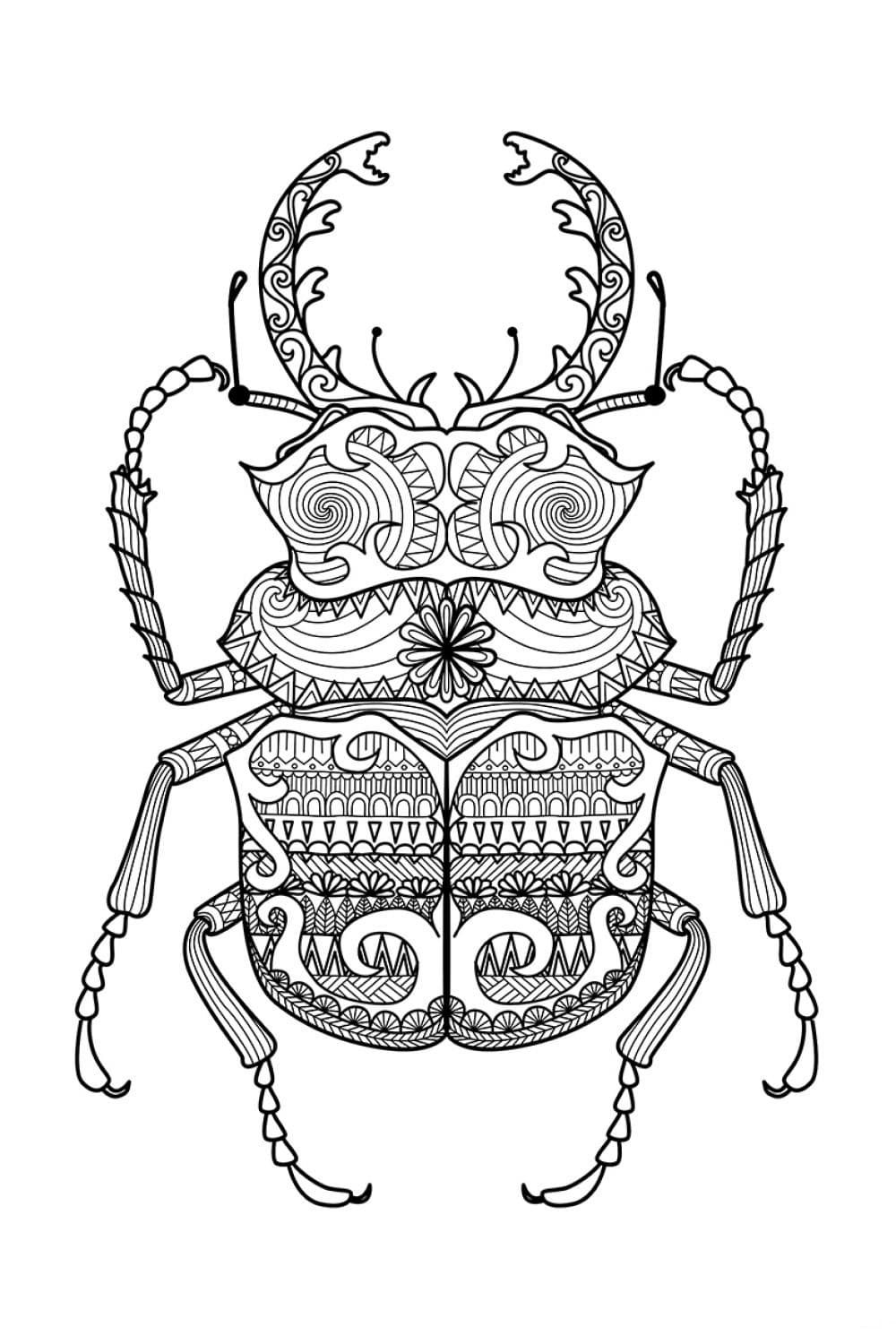 Drawing of a Mandala cockroach | דפדפים – המאגר הגדול בארץ של דפי צביעה