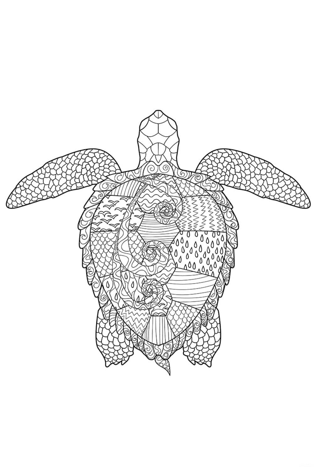 Turtle Mandala Coloring Pages