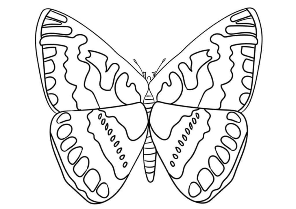 Butterfly Coloring Pages ️ Free Coloring Pages