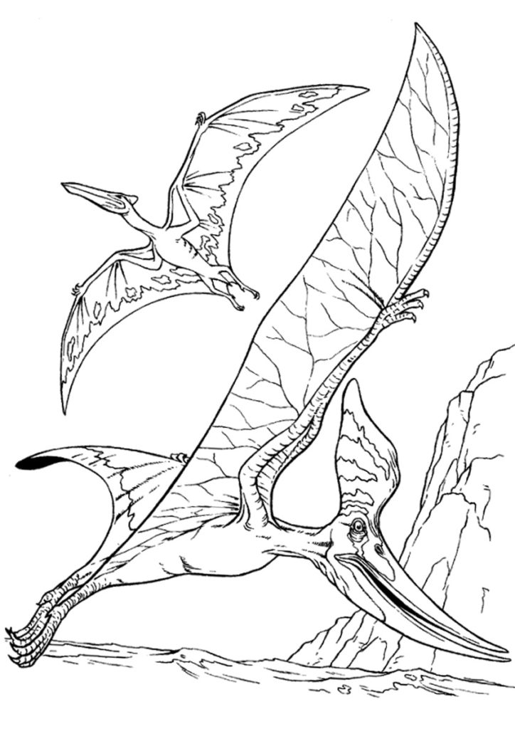 Dinosaur Coloring Pages ️ Free Coloring Pages